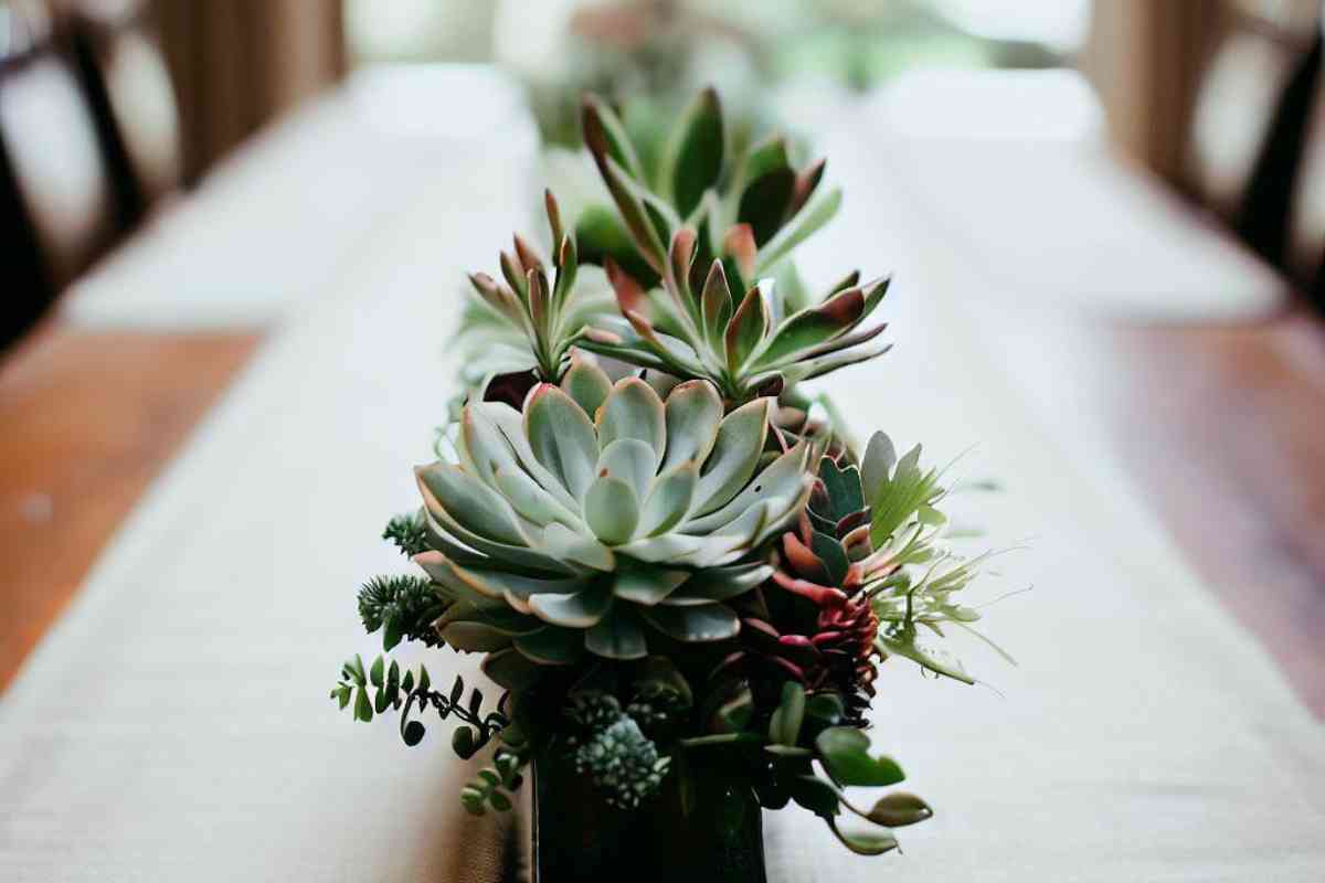 7 Unique Succulent Table Arrangements - louistheplantgeek.com