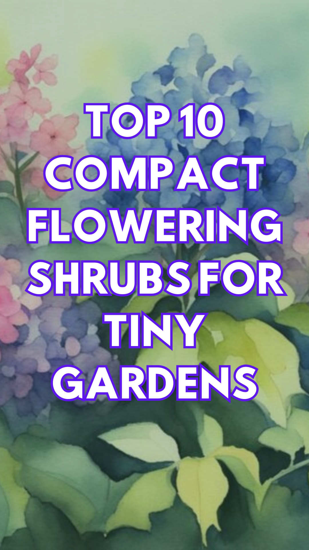 Small Flowering Bushes: Top 10 Compact Flowering Shrubs for Tiny ...
